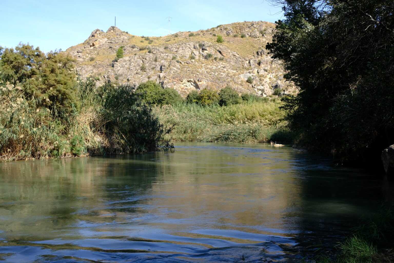Historia y Escudo Oficial - Abaran.es
